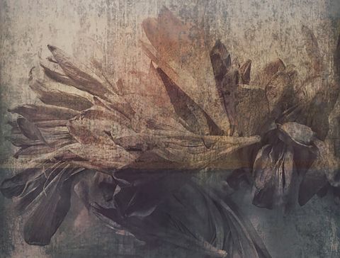 Art | www.decentart.com